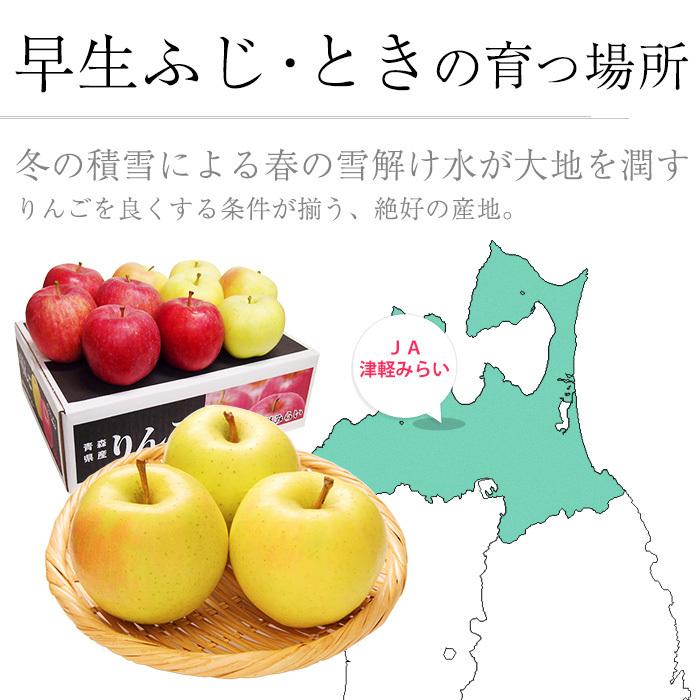 りんご 早生ふじ とき MIX 青森県産 特A 約3kg 9〜12玉 : 産直プレミアム - 通販 - Yahoo!ショッピング