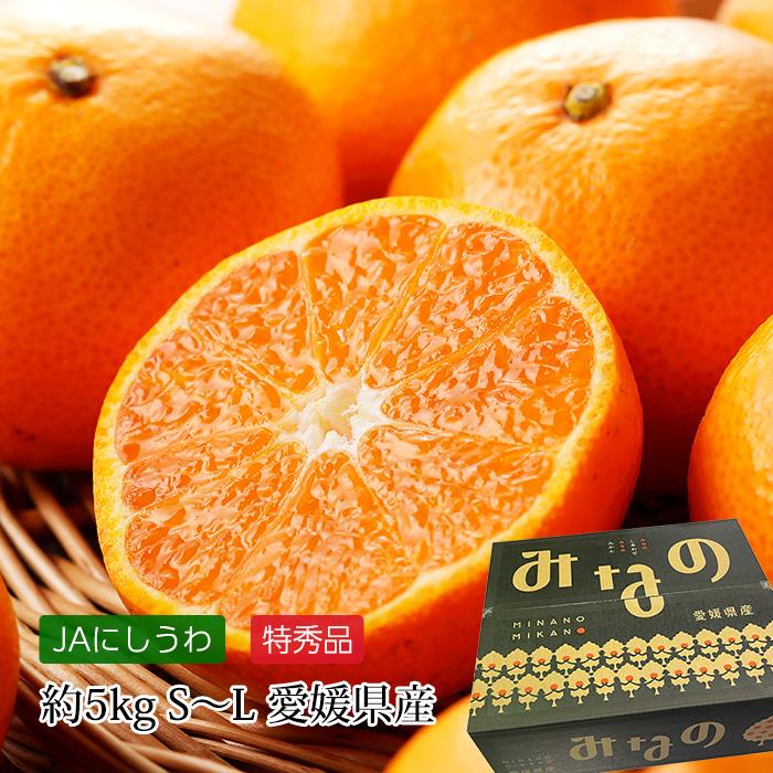 みかん 愛媛県産 みなの共選のみかん 特秀品 約5kg S〜Lサイズ 40〜60個 : f-0550 : 産直プレミアム - 通販 - Yahoo!ショッピング