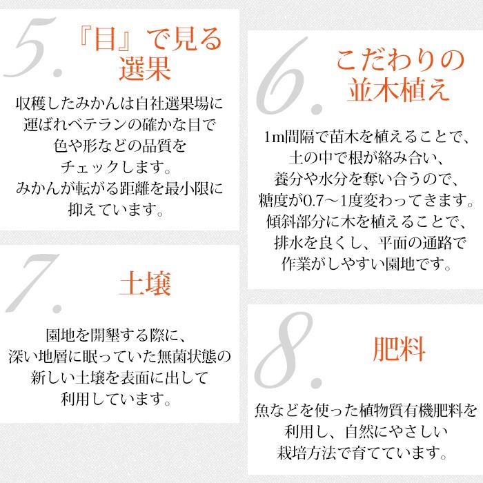 みかん 大黒園コクみかん 福岡県みやま市 秀品 約5kg SSサイズ 70〜80個 小玉 小粒 : 産直プレミアム - 通販 - Yahoo!ショッピング