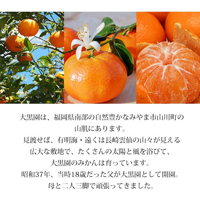 みかん 大黒園コクみかん 福岡県みやま市 秀品 約5kg SSサイズ 70〜80個 小玉 小粒 : 産直プレミアム - 通販 - Yahoo!ショッピング