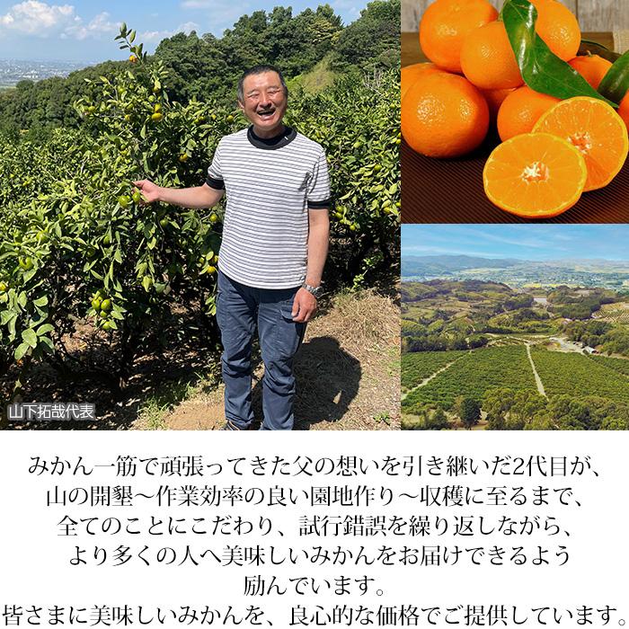 みかん 大黒園コクみかん 福岡県みやま市 秀品 約5kg SSサイズ 70〜80個 小玉 小粒 : 産直プレミアム - 通販 - Yahoo!ショッピング