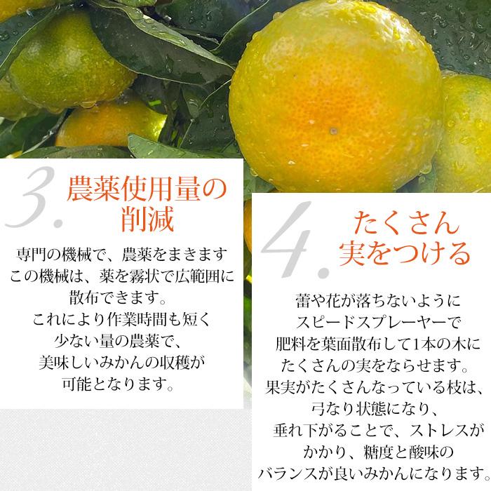 みかん 大黒園コクみかん 福岡県みやま市 秀品 約5kg SSサイズ 70〜80個 小玉 小粒 : 産直プレミアム - 通販 - Yahoo!ショッピング