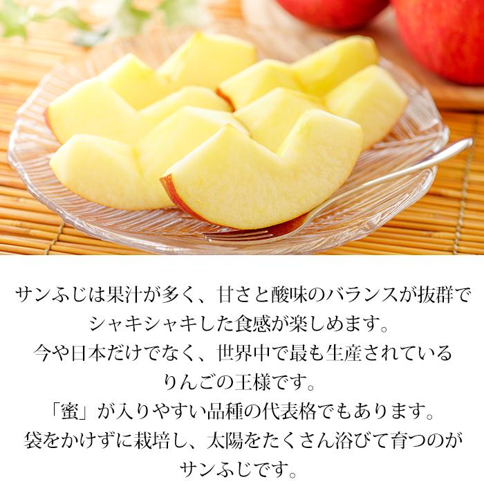 りんご 長野県産 サンふじ 訳あり 約3kg 8〜13玉 : f-0633 : 産直プレミアム - 通販 - Yahoo!ショッピング