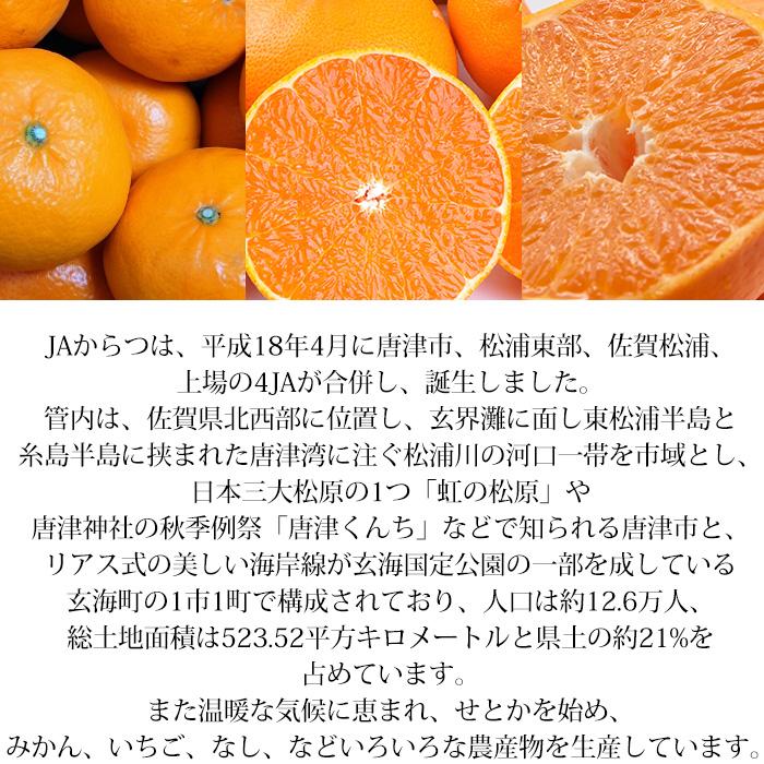 みかん 佐賀県産 はまさき 約3kg 8〜12玉 : f-0647 : 産直プレミアム - 通販 - Yahoo!ショッピング