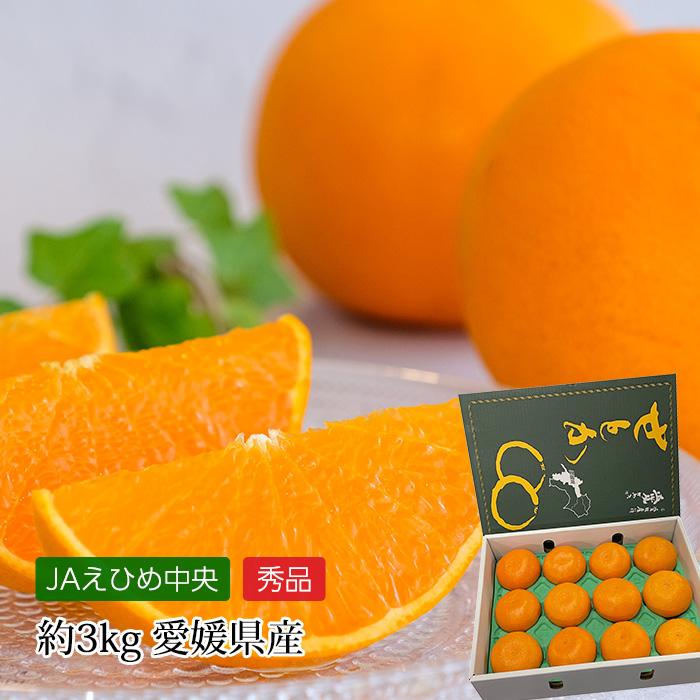 みかん 愛媛県産 せとか 秀品 約3kg 8〜12玉 : f-0650 : 産直プレミアム - 通販 - Yahoo!ショッピング