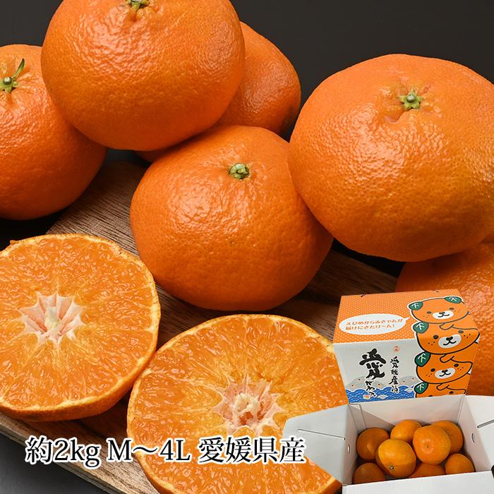 みかん 愛媛県産 甘平 約2kg M〜4Lサイズ 6〜13玉 : f-0655 : 産直プレミアム - 通販 - Yahoo!ショッピング