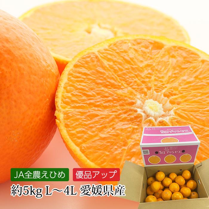みかん 愛媛県産 紅プリンセス 優品アップ 約5kg L〜4Lサイズ 12〜26個 : 産直プレミアム - 通販 - Yahoo!ショッピング