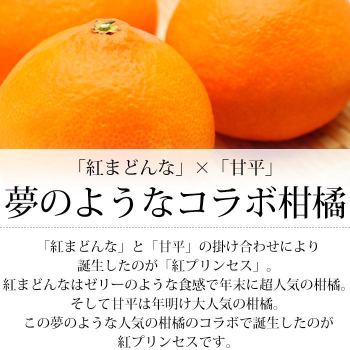 みかん 愛媛県産 紅プリンセス 優品アップ 約5kg L〜4Lサイズ 12〜26個 : 産直プレミアム - 通販 - Yahoo!ショッピング