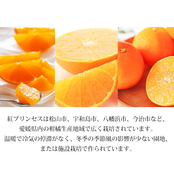 みかん 愛媛県産 紅プリンセス 優品アップ 約5kg L〜4Lサイズ 12〜26個 : 産直プレミアム - 通販 - Yahoo!ショッピング