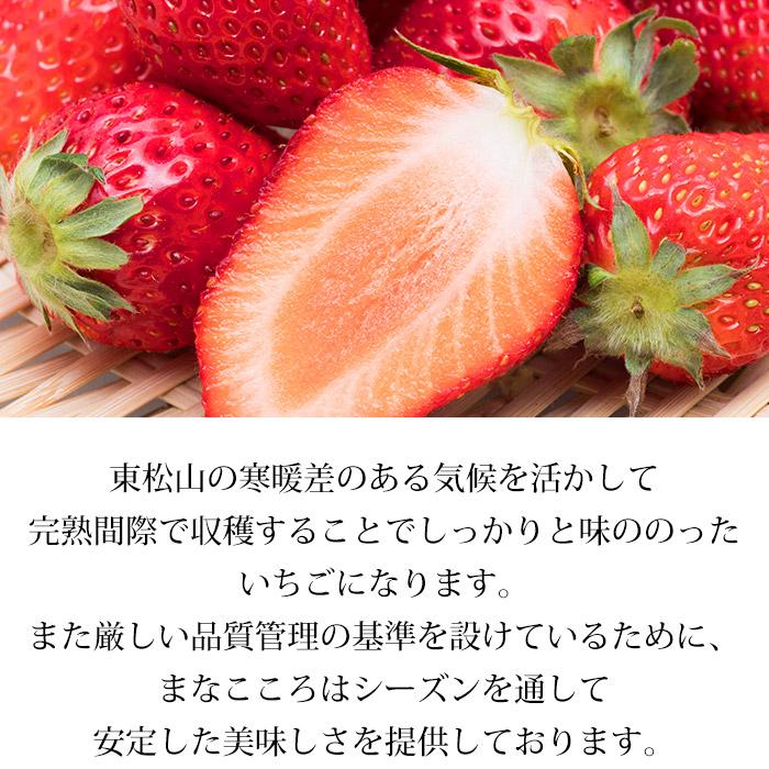 いちご 埼玉県産 とちおとめ 心ばかり 約850g 30〜36粒 : 産直プレミアム - 通販 - Yahoo!ショッピング