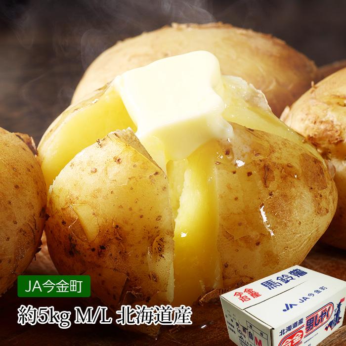 じゃがいも 北海道産 今金男爵 約5kg M/Lサイズ 約45個 : 産直プレミアム - 通販 - Yahoo!ショッピング