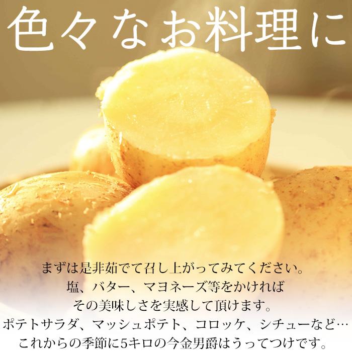 じゃがいも 北海道産 今金男爵 約5kg M/Lサイズ 約45個 : 産直プレミアム - 通販 - Yahoo!ショッピング