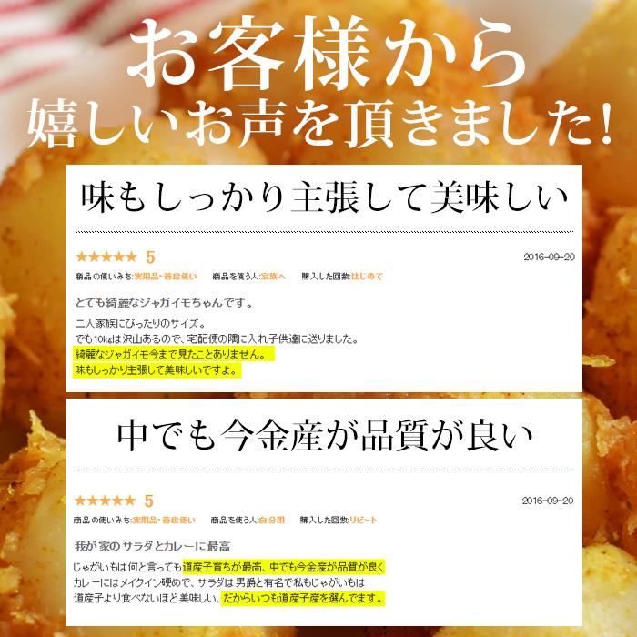 じゃがいも 北海道産 今金男爵 約5kg M/Lサイズ 約45個 : v-0071 : 産直プレミアム - 通販 - Yahoo!ショッピング