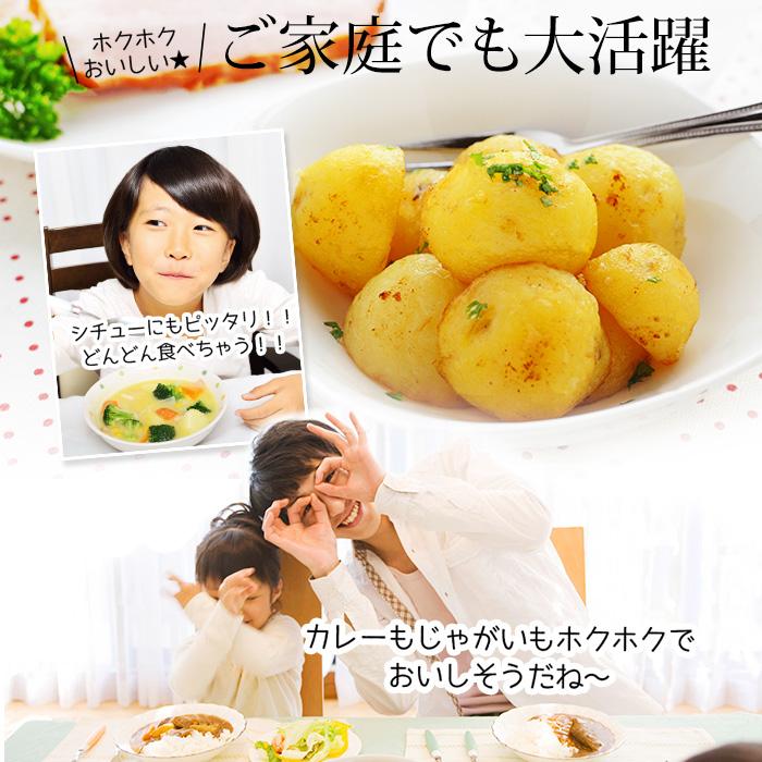 じゃがいも 北海道産 今金男爵 約5kg M/Lサイズ 約45個 : 産直プレミアム - 通販 - Yahoo!ショッピング