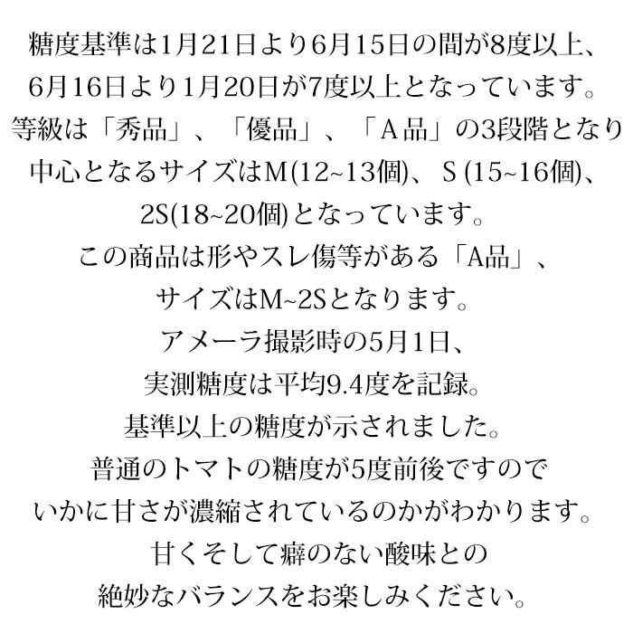 トマト 長野県産 静岡県産 高糖度フルーツトマト アメーラ A品 約1kg 2S〜Mサイズ 12〜20個 :v-0107:産直プレミアム - 通販 - Yahoo!ショッピング