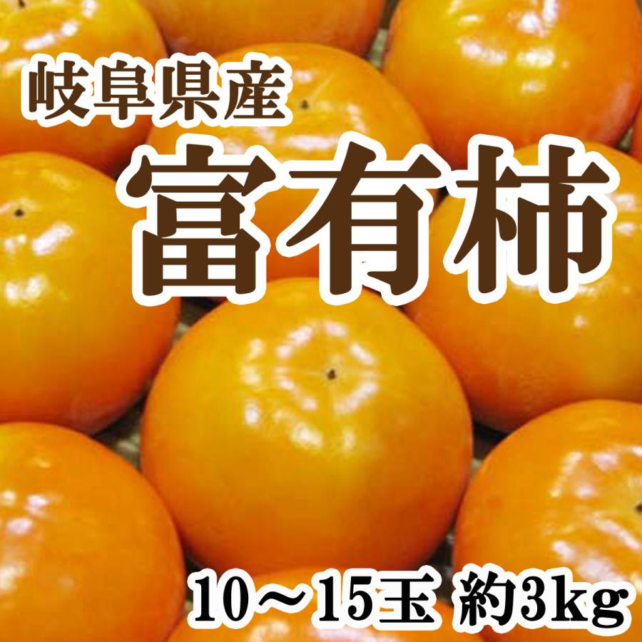 柿 富有柿 岐阜産 10〜15玉3kg 送料無料 贈答用 訳あり品ではございません : よいものバンク - 通販 - Yahoo!ショッピング
