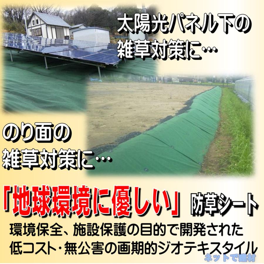 ストロングマット 1本 シンセイ グリーン 2m×20m 厚み 3mm : 養生材ドットコム - 通販 - Yahoo!ショッピング