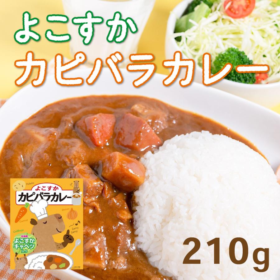 よこすかカピバラカレー 210g : よこすかみやげオンラインショップ - 通販 - Yahoo!ショッピング