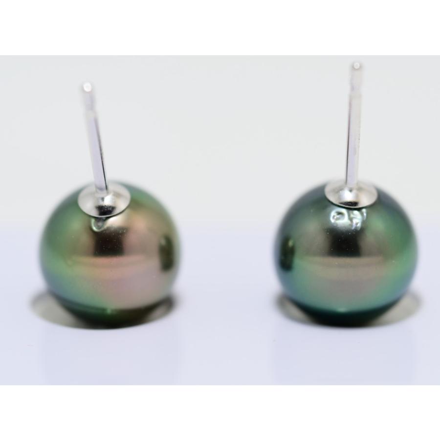 黒蝶真珠 黒真珠 ピアス 10mm ピーコックグリーン : 真珠専門店 黒蝶真珠 黒真珠 ピアス 10mm ピーコックグリーン : 真珠専門店