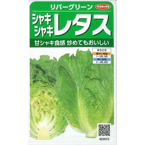 【シャキシャキレタス】リバーグリーン（0.7ml）【サカタのタネ】[春まき][秋まき] : Hana Uta 米沢園芸 Yahoo!店 - 通販 - Yahoo!ショッピング