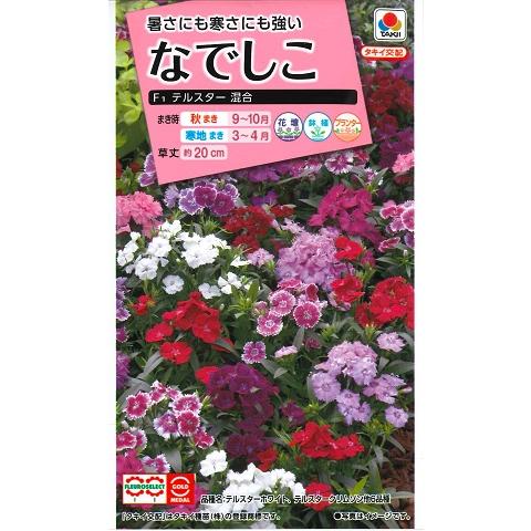 サカタのタネ 【なでしこ】F1テルスター混合【タキイ種苗】（0.2ml）ナデシコ【四季咲きナデシコ】[春秋まき] : Hana Uta 米沢園芸 Yahoo!店 - 通販 - Yahoo!ショッピング