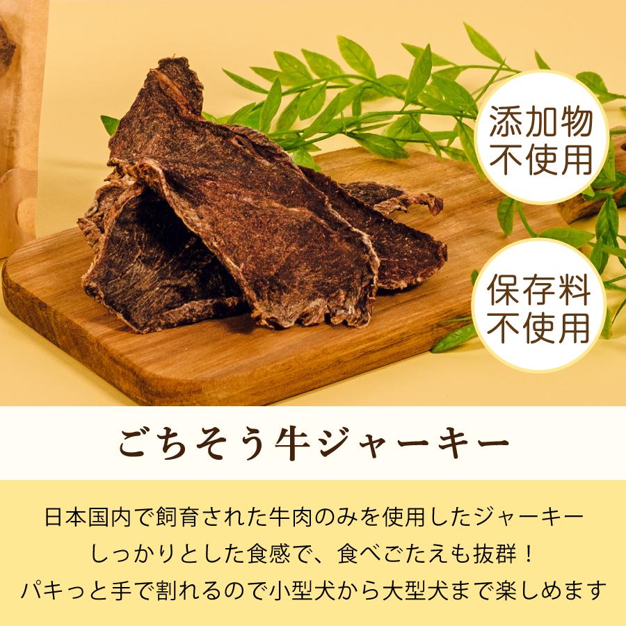 Brunoママのやさしいおやつ ギフトセット 国産 サクっとまぐろ35g ごちそう牛ジャーキー30g 鮪 マグロ 牛 ジャーキー 選べるカード ポイント利用 : ヨリアイDOGS - 通販 ...