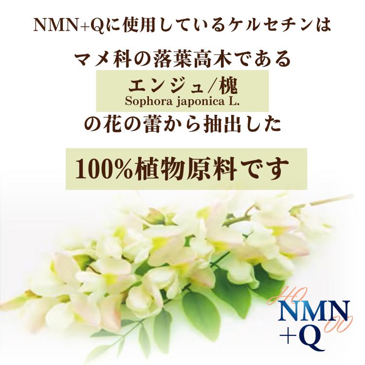 NMN+Q（ケルセチン） : yorokobu - 通販 - Yahoo!ショッピング