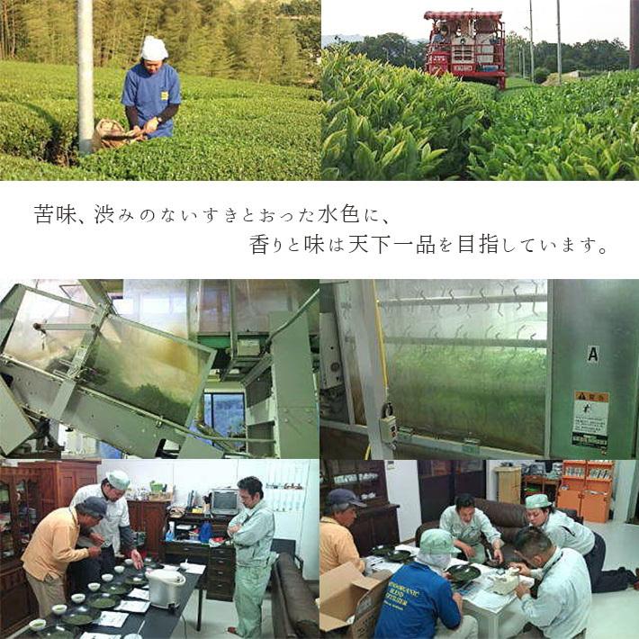 熊本相良村産Kuma cha（60g×5本入） 特産品 くまモン 一番茶葉 お茶 緑茶 煎茶 自園自製 送料無料 : 食べラク - 通販 ...