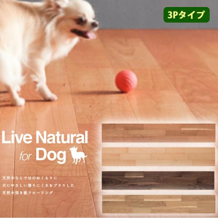 朝日ウッドテック フローリング ライブナチュラル プラス for Dog 3Pタイプ 1坪（3.3平米）/1梱 床暖房対応 厚み12mm 耐凹み傷 犬にやさしい滑りにくさを実現 ...