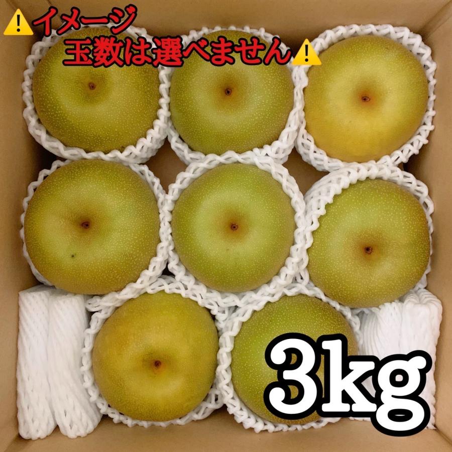 幸水 豊水 二十世紀 新興 宮城県産 梨 3kg(6玉〜9玉入り) 品種おまかせ 秋の味覚 ギフト プレゼント 人気 果物 フルーツ 宮城県 蔵王町送料無料 お取り寄せ ...