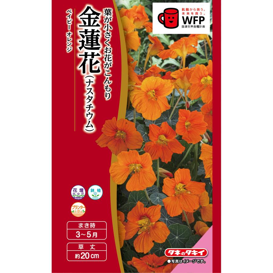 花種 NL300 金蓮花 ベイビーオレンジ 小袋 [FKRA65]【花の種】【タキイのタネ】【ガーデニング】 : 2486 : 吉谷農芸Yahoo!店 - 通販 - Yahoo!ショッピング