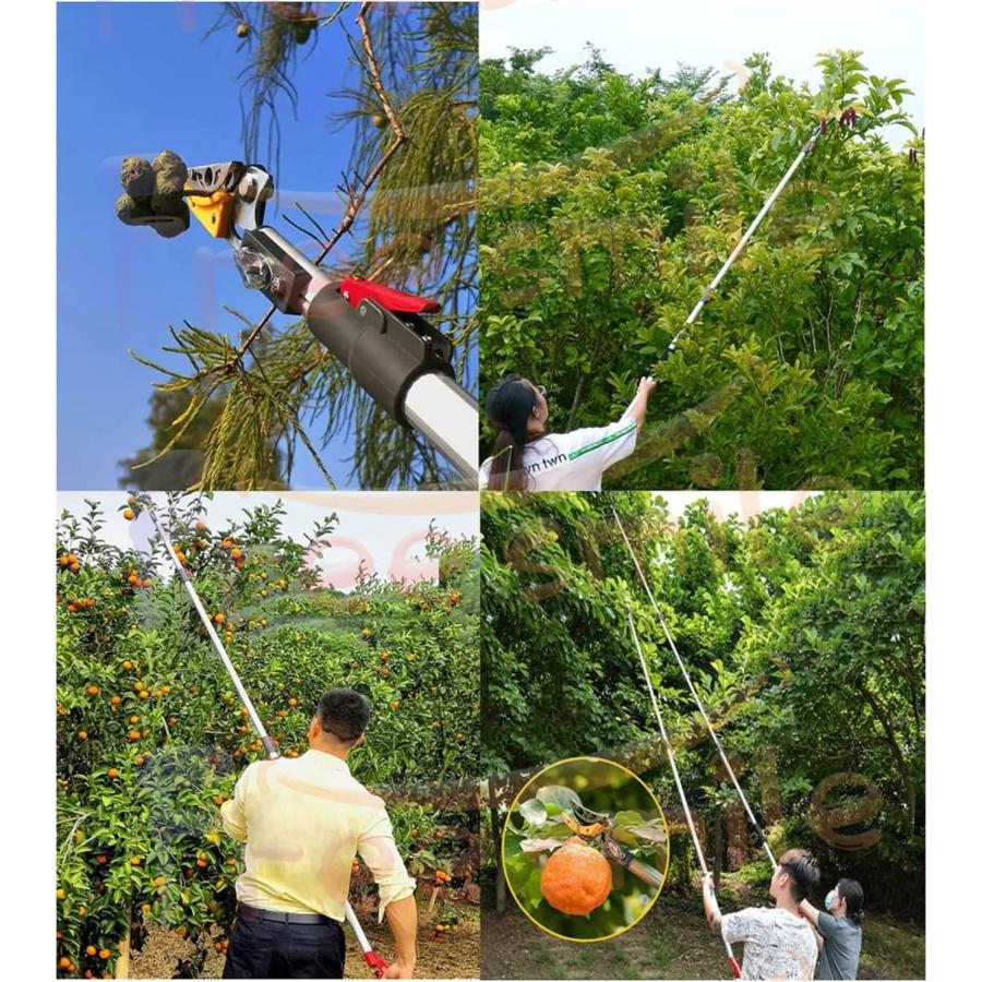 高枝切りバサミ 3m 4m 5m 伸縮式高枝切鋏 鋸付き 伸縮式 剪定鋏 高枝鋏 高枝用 SK5 高所 園芸用はさみ 太枝切鋏 枝切り 枝分け 高枝切り鋏 万能はさみ : Free smile ...