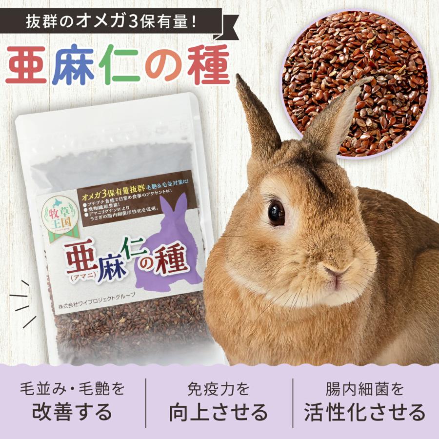 亜麻仁の種 250g 500g 700g 1000g : うさぎ牧草チモシーのもふぱふぇ - 通販 - Yahoo!ショッピング