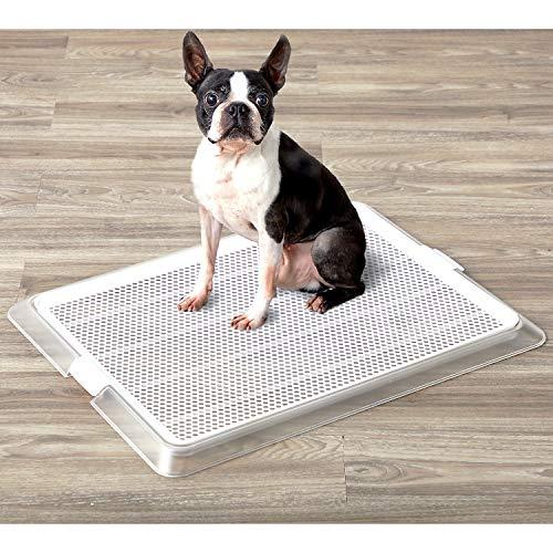 ボンビアルコン Bonbi ペットレークリアメッシュ M サイズ : Y’s Resale - 通販 - Yahoo!ショッピング