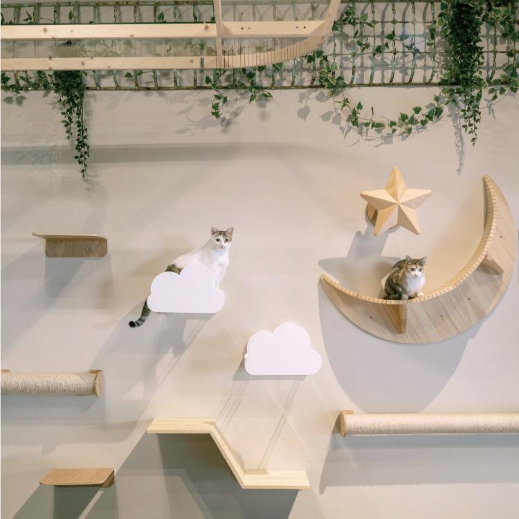 MYZOO マイズー MYZOO-MOKU ホワイト 白 モク 木 クリア 透明 キャットステップ アクリル #猫 キャット ウォーク ステップ タワー おしゃれ 棚 壁付け : パーツEX ...