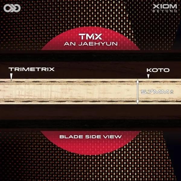 XIOM エクシオン アン・ジェヒョン TMX ST ストレートシェークハンド 卓球ラケット Y卓球店 (XIOM) : Y卓球店 Yahoo!ショッピング店 - 通販 - Yahoo!ショッピング