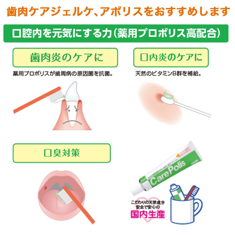 ケアポリス 薬用歯磨 オーラルプラス 歯周病 対策 医薬部外品 (75g 3個) : YuLago(ユラゴ) - 通販 - Yahoo!ショッピング