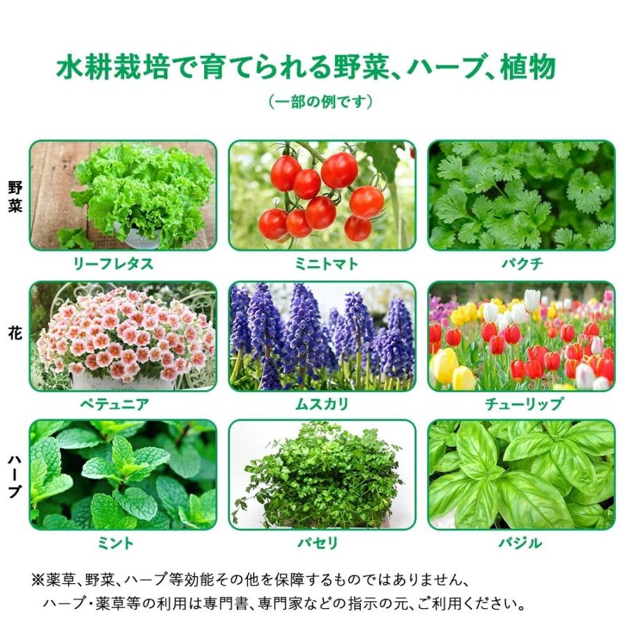 爆買 水耕栽培キット LED 水耕栽培 キット 家庭菜園 プランター おしゃれ 野菜栽培 植物育成LEDライト スポンジ 循環ポンプ JustSmart : GAOMON - 通販 ...