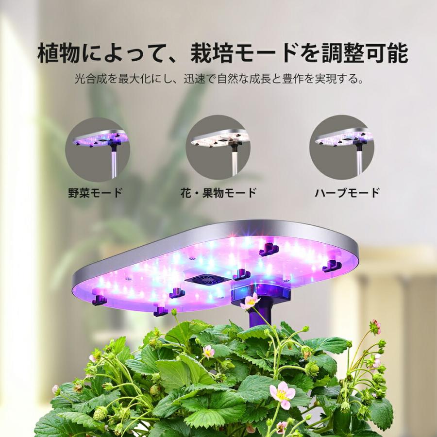 意匠権登録済 水耕栽培キット LED 水耕栽培 キット 意匠権登録済 水耕栽培キット LED 水耕栽培 キット
