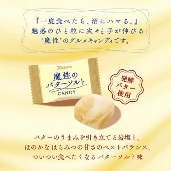 Kanro カンロ 魔性のバターソルトキャンディ 60g×4袋 (ポイント消化) (np-3) (賞味期限2027.2月末) メール便全国送料無料 : ゆっくんのお菓子倉庫2号店 - 通販 ...