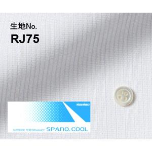 オーダーシャツ ワイシャツ メンズ 生地番号 RJ75 形態安定・日清紡スパーノーアイロン.COOL 接触冷感 ストライプ柄 : rj75 ...