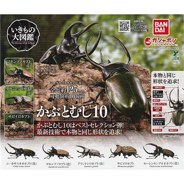 いきもの大図鑑 かぶとむし10 全5種セット : ガチャポンの山 - 通販 - Yahoo!ショッピング
