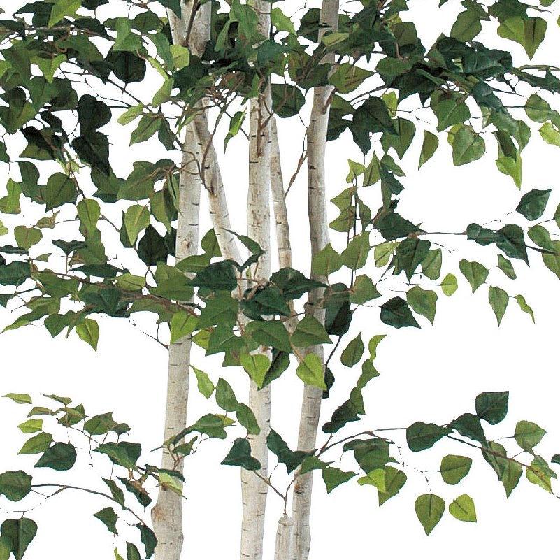人工観葉植物 バーチツリー （ポット付き） グリーン 高さ180cm （P284-a50772) （代引き不可） : 人形のゆめさき - 通販 - Yahoo!ショッピング