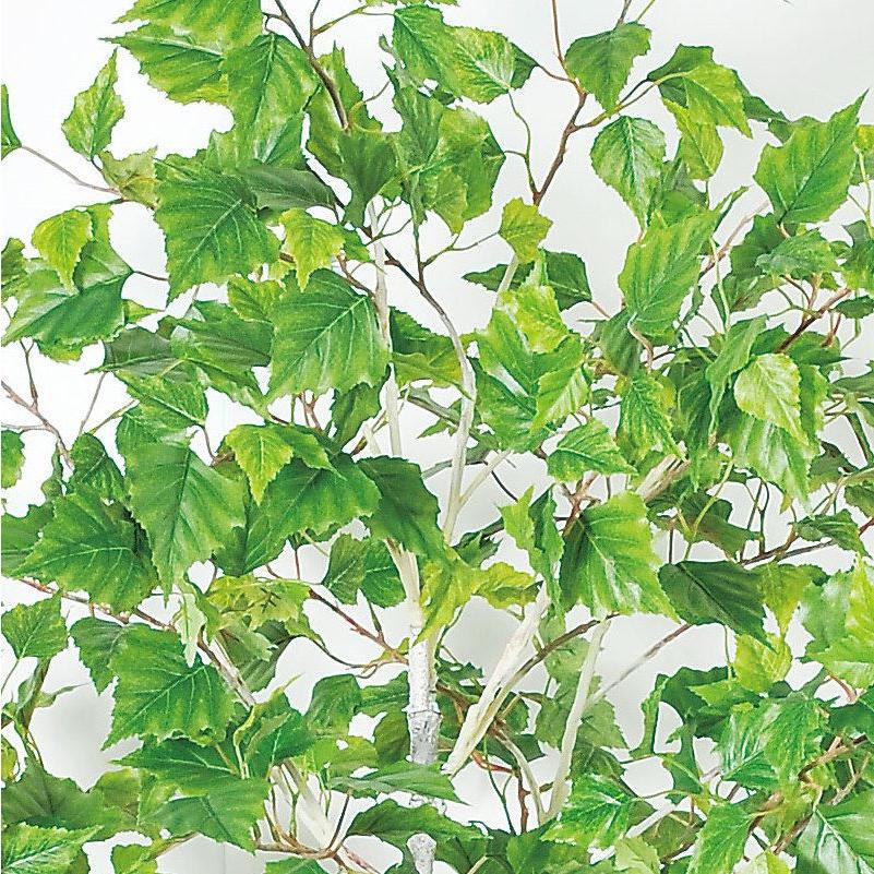 人工観葉植物 バーチツリー （ポット付き） グリーン 高さ122cm （P284-a50857) （代引き不可） : 人形のゆめさき - 通販 - Yahoo!ショッピング
