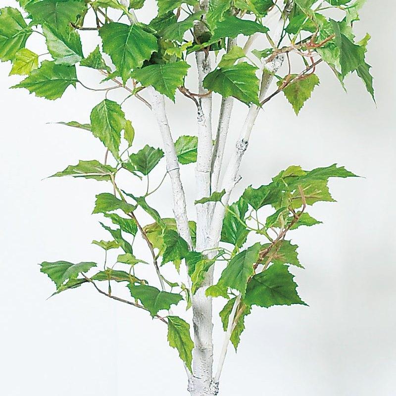 人工観葉植物 バーチツリー （ポット付き） グリーン 高さ122cm （P284-a50857) （代引き不可） : 人形のゆめさき - 通販 - Yahoo!ショッピング