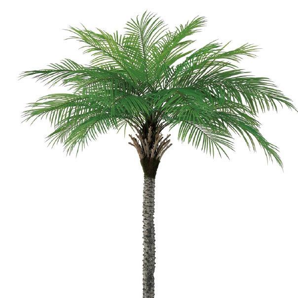 人工観葉植物 パーム （ポット付き） グリーン 高さ240cm （P292-a51121) （代引き不可） : 人形のゆめさき - 通販 - Yahoo!ショッピング