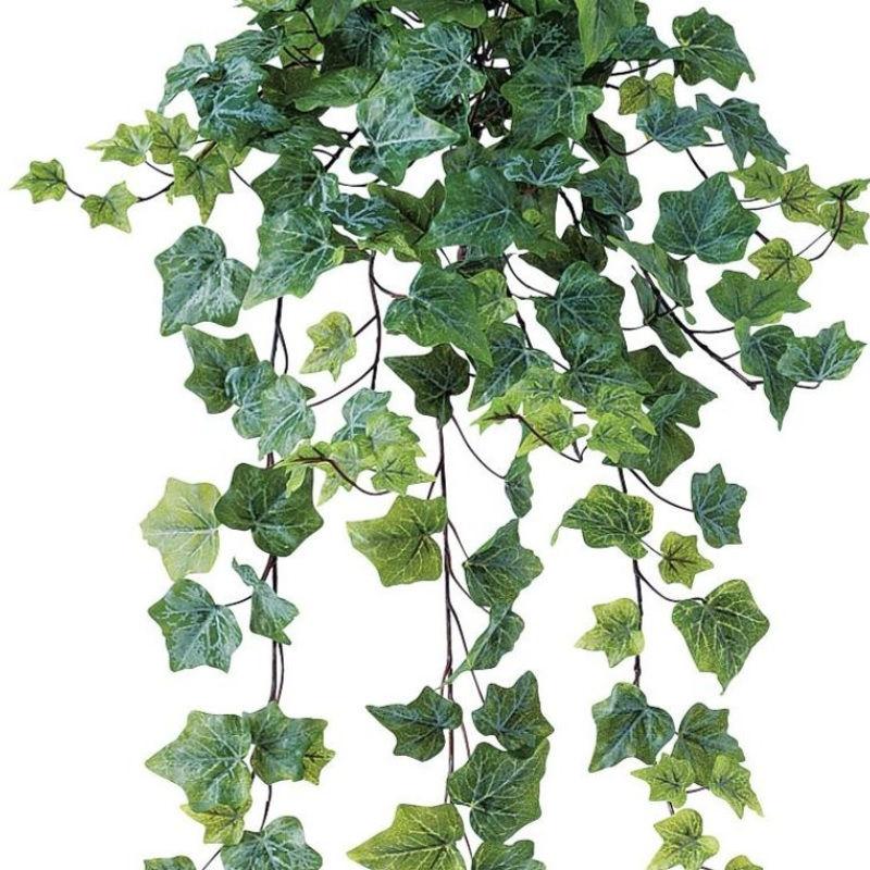 人工観葉植物 フロストアイビー ハンキング ブッシュ 長さ80cm （P143-91672) （代引き不可） : 人形のゆめさき - 通販 - Yahoo!ショッピング