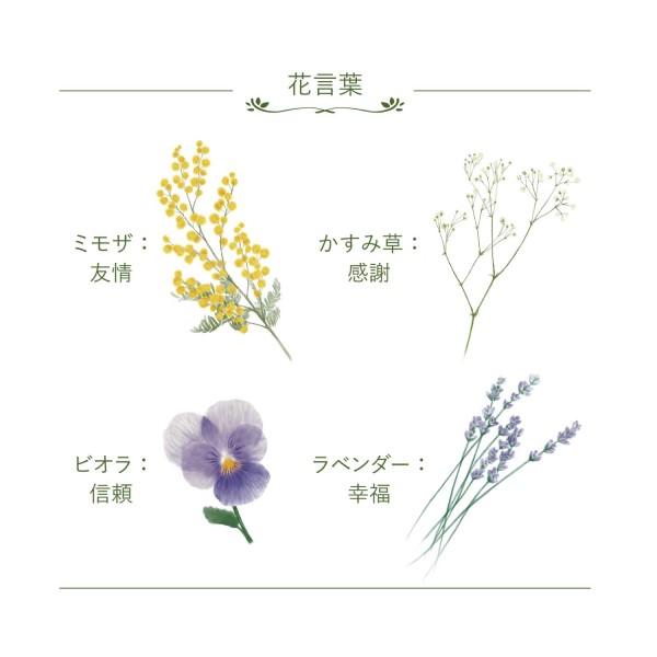 花文（hana fumi） ペアフリーグラス（ビオラ・ラベンダー柄） G099-T283【東洋佐々木ガラス】 : 夢陶房 - 通販 - Yahoo!ショッピング