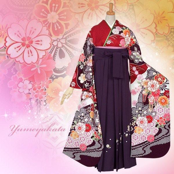 卒業式 袴セット 安い 訳あり特価 赤 疋田八重桜に藤(絹) レンタル 大学生 振袖袴 RR511 : rr511 : 京都着物レンタル夢館 Yahoo!店 - 通販 - Yahoo!ショッピング