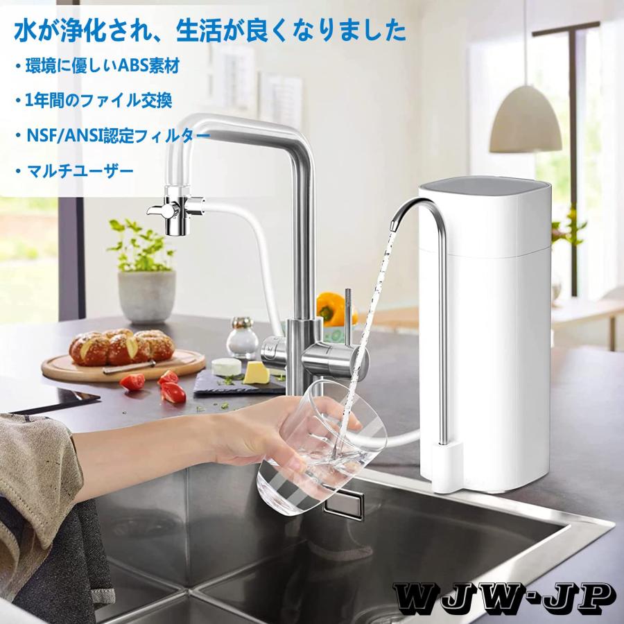 逆浸透膜浄水器 置き型浄水器 キッチンの蛇口と一体化 蛇口直結 逆浸透膜浄水器 置き型浄水器 キッチンの蛇口と一体化 蛇口直結